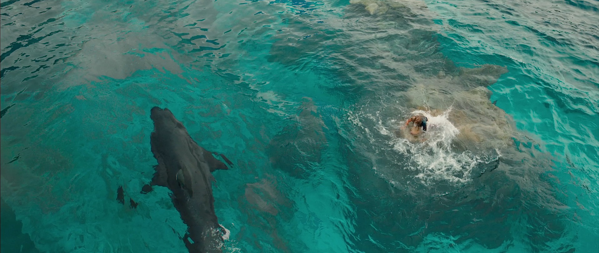 The Shallows (2016) – Reel Red Reviews
